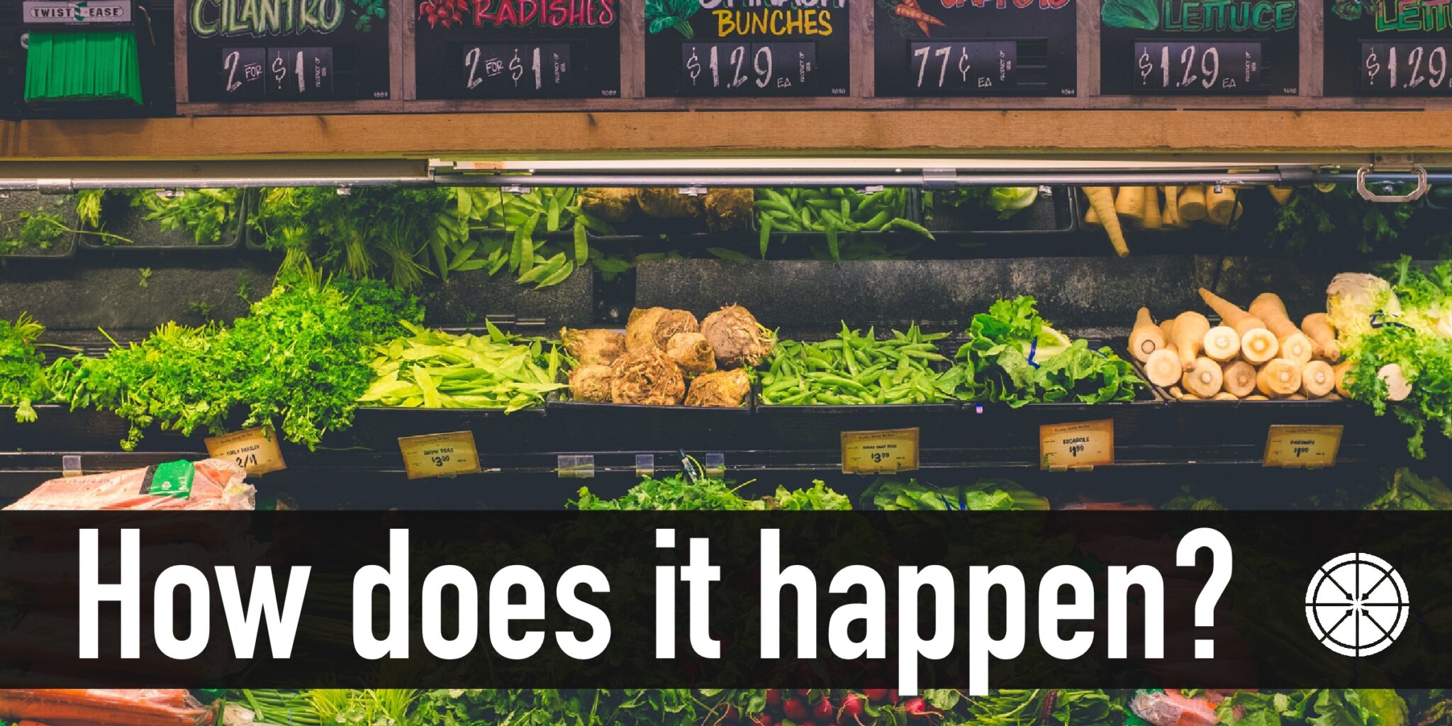 How Copiosis Works: A Practical Example | Copiosis